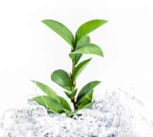 Paper Shredding Services Pembroke Pines | Mobile Shredding Services FL ...